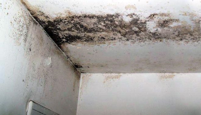 How to paint interior mildew areas